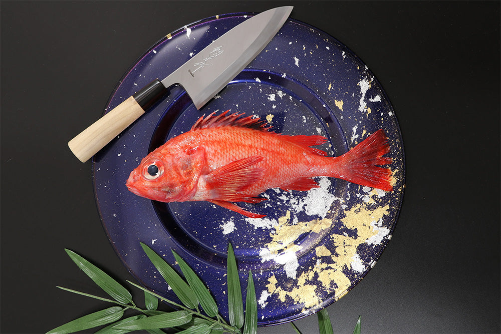 Kinki, not kinky (channel rockfish)